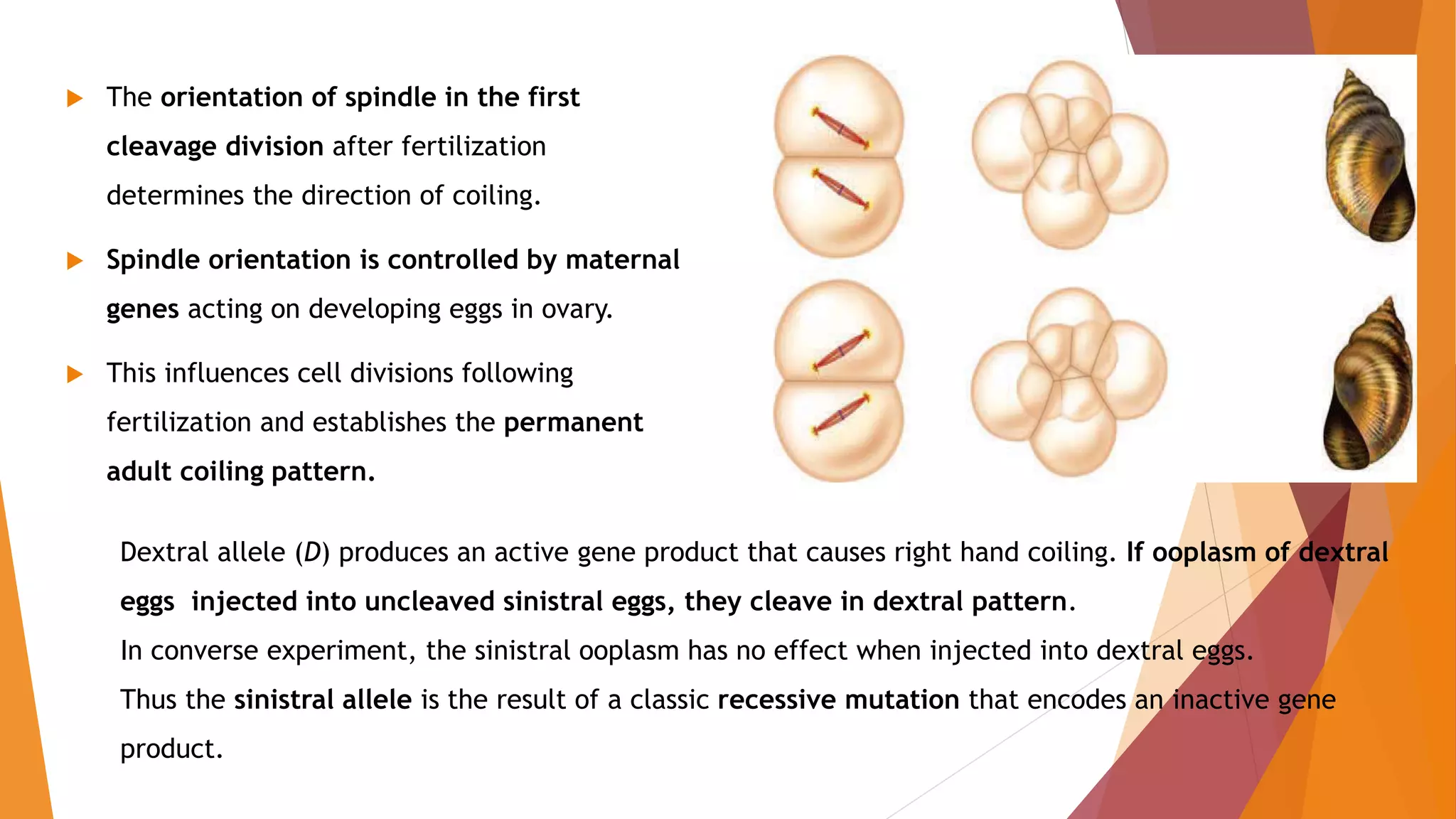 Maternal effects | PPTX