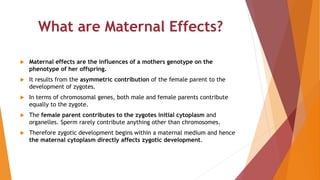 Maternal effects | PPTX