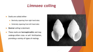 Maternal effects | PPTX