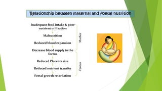 Maternal health and nutrition care during pregnancy & lactation | PDF
