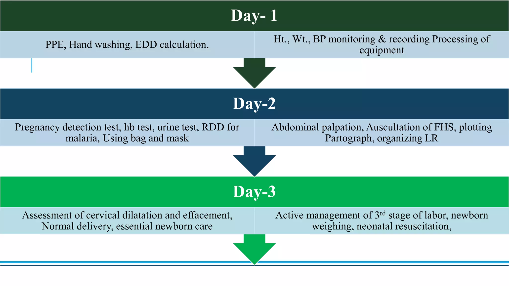 Maternal health care ppt | PPTX