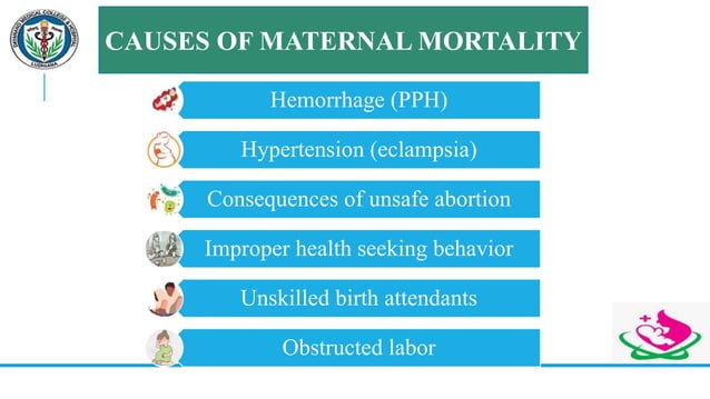 Maternal health care ppt | PPTX