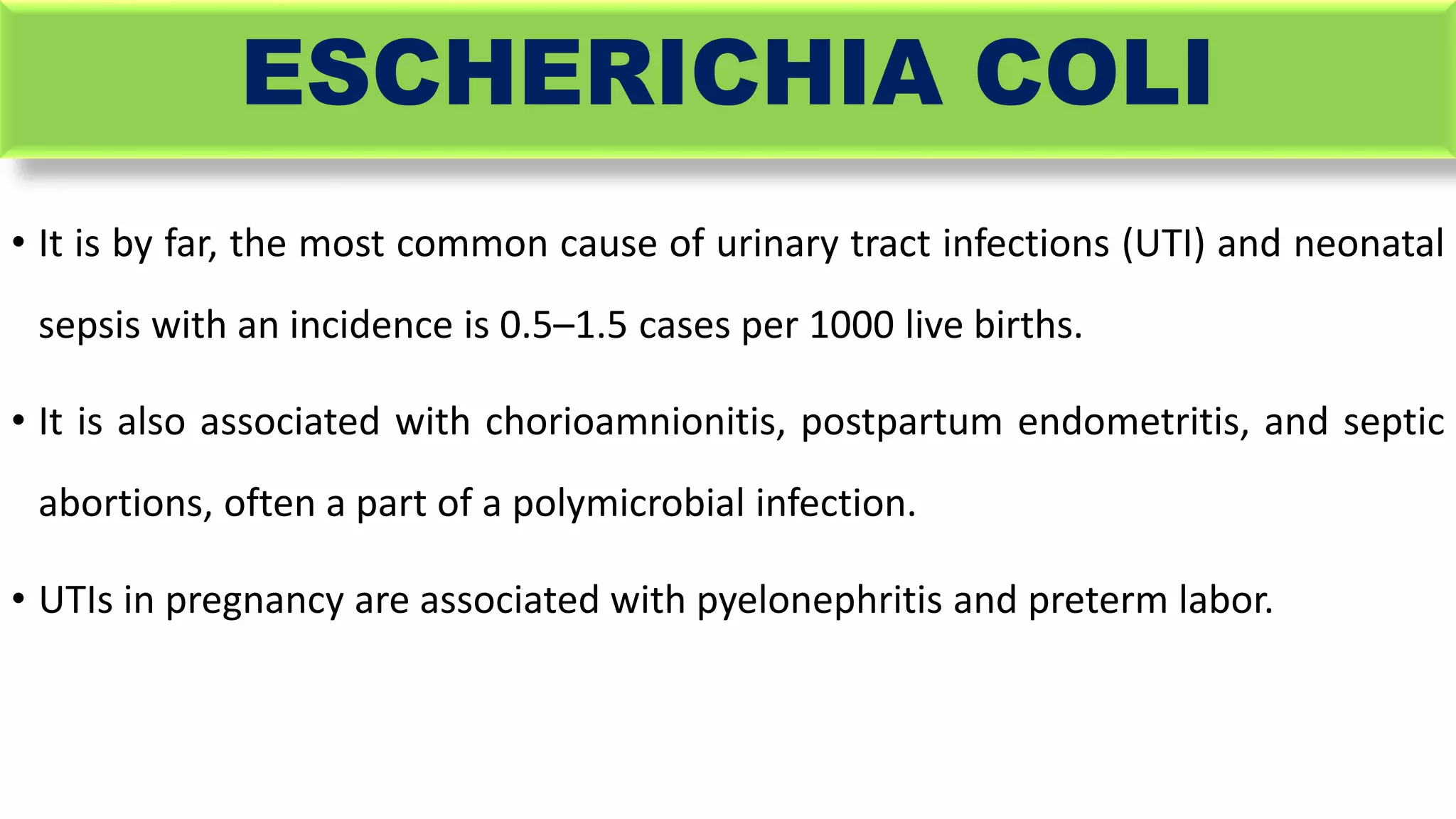 MATERNAL INFECTION DURING PREGNANCY | PPTX