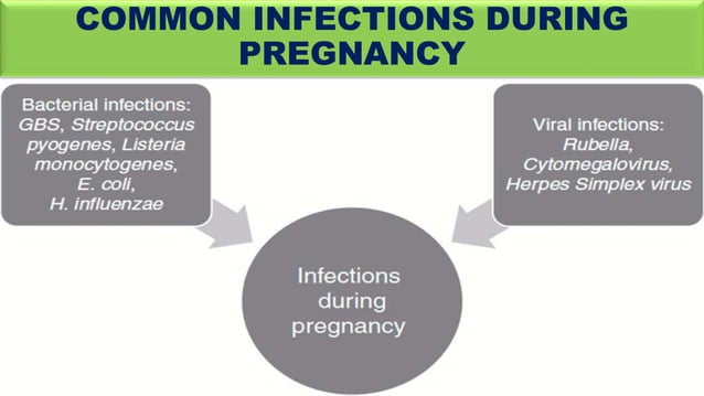 MATERNAL INFECTION DURING PREGNANCY | PPTX | Pregnancy | Reproductive ...