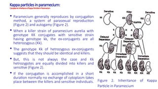 Cell Biology and genetics- Maternal Inheritance Class | PPTX