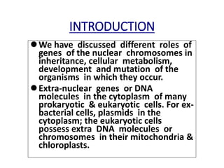 Maternal inheritance of chloroplasts dna | PPTX