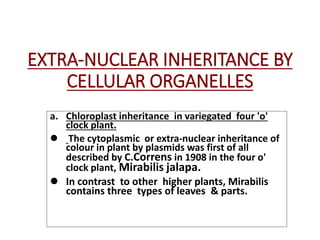Maternal inheritance of chloroplasts dna | PPTX