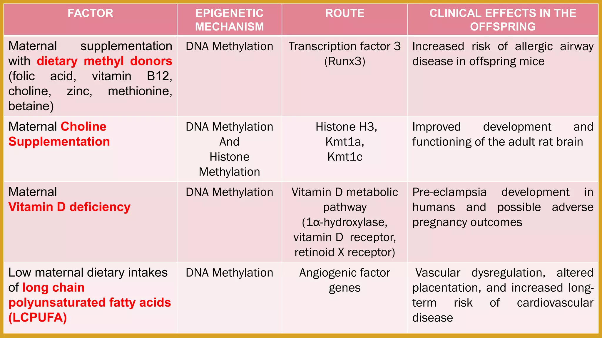 Maternal Nutrition and Epigenetics | PDF