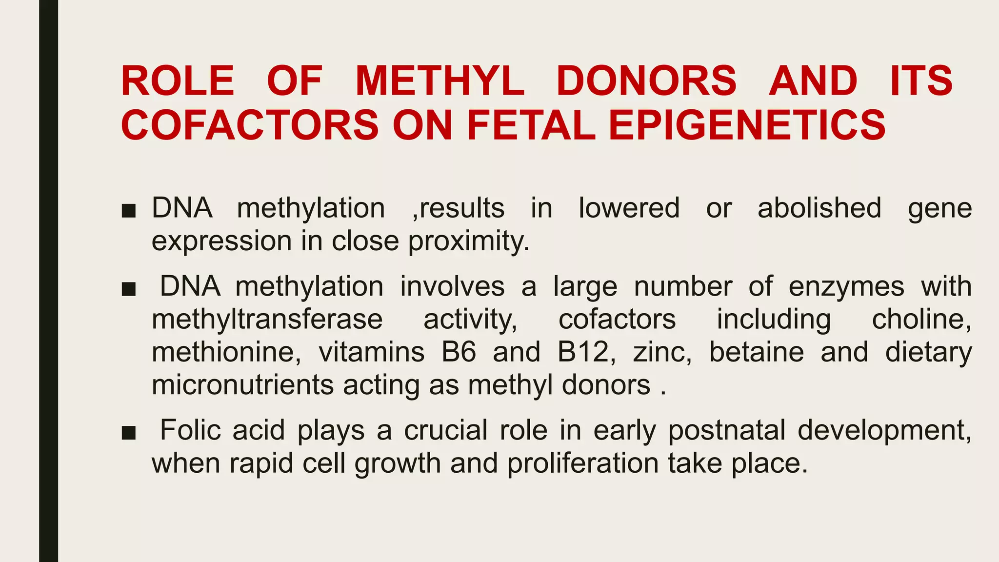 Maternal Nutrition and Epigenetics | PDF