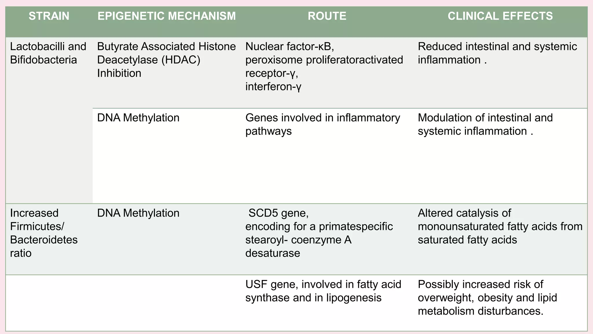 Maternal Nutrition and Epigenetics | PDF