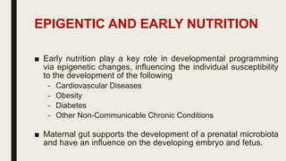 Maternal Nutrition and Epigenetics | PDF