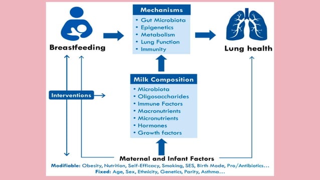 Maternal Nutrition and Epigenetics | PDF | Pregnancy | Reproductive Health