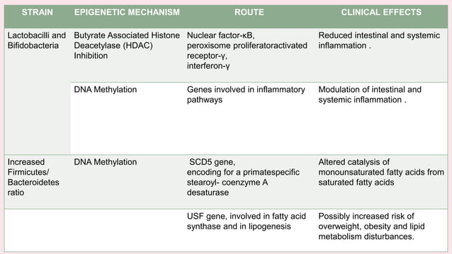 Maternal Nutrition and Epigenetics | PDF | Pregnancy | Reproductive Health