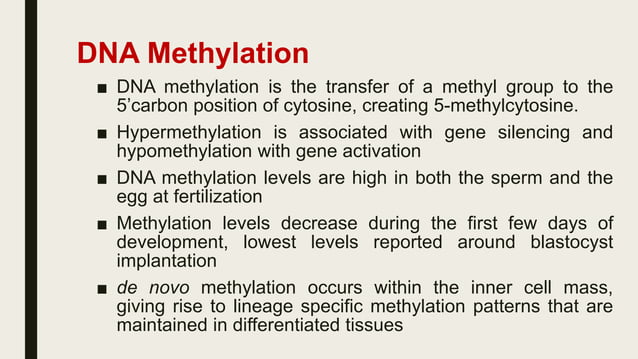 Maternal Nutrition and Epigenetics | PDF | Pregnancy | Reproductive Health