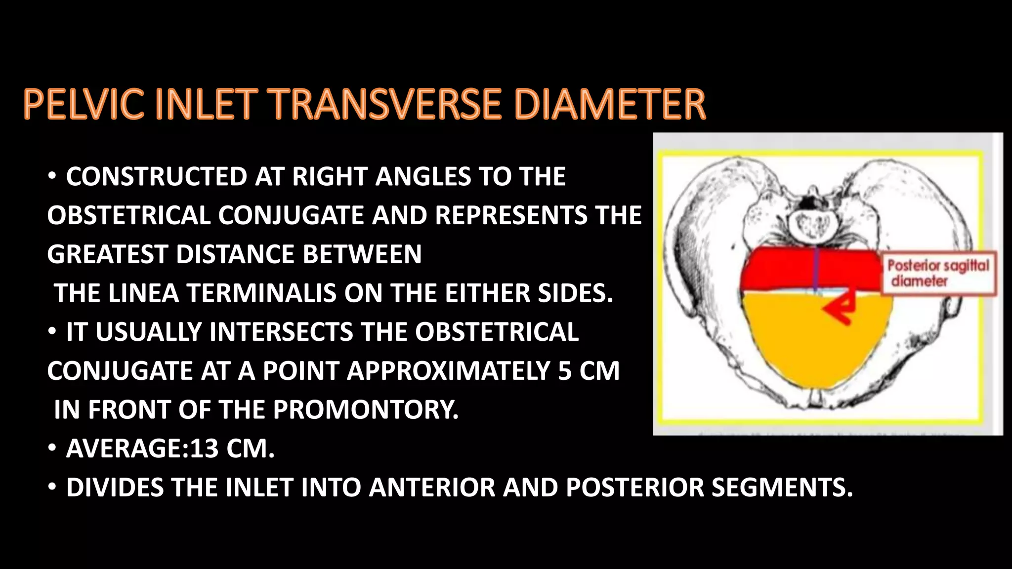 MATERNAL PELVIC DIAMETERS FINAL.pptx