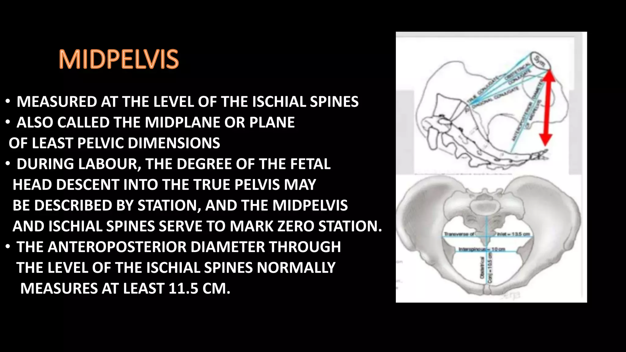MATERNAL PELVIC DIAMETERS FINAL.pptx