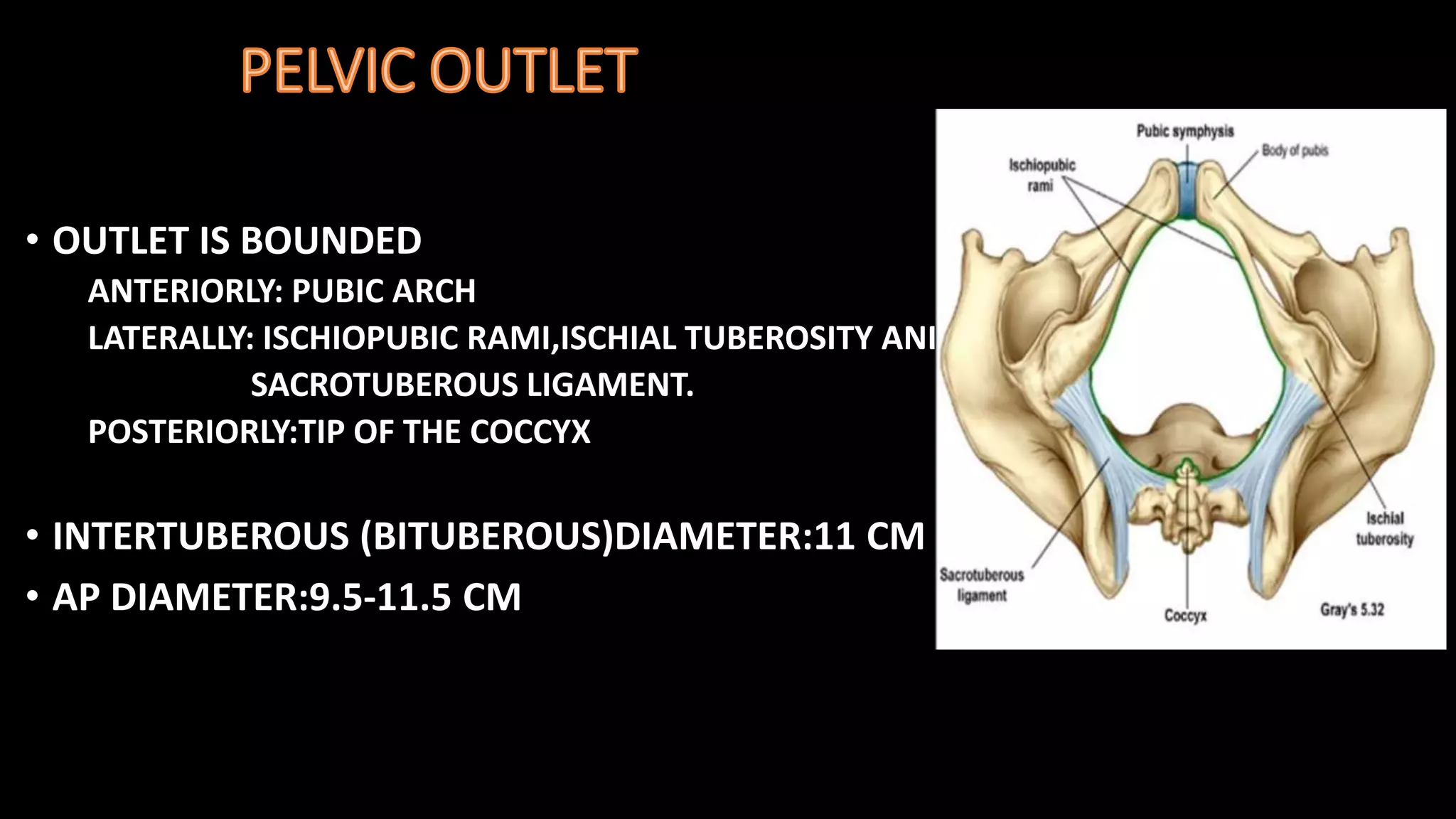 MATERNAL PELVIC DIAMETERS FINAL.pptx