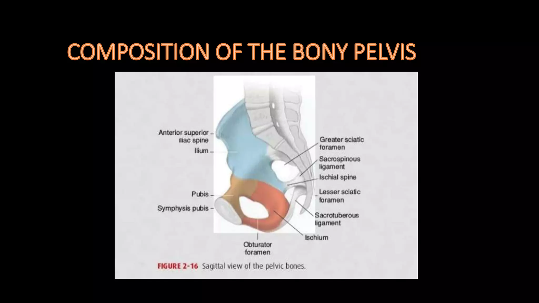 MATERNAL PELVIC DIAMETERS FINAL.pptx