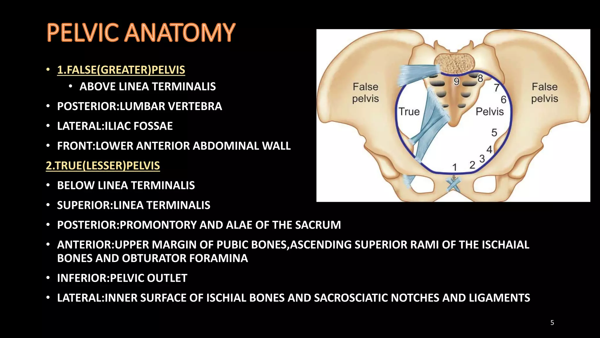 MATERNAL PELVIC DIAMETERS FINAL.pptx