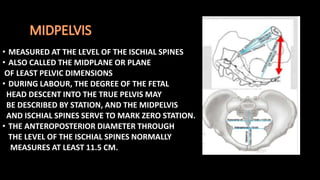 MATERNAL PELVIC DIAMETERS FINAL.pptx