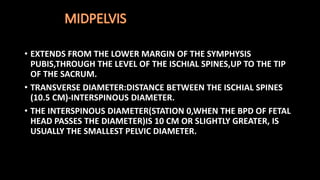 MATERNAL PELVIC DIAMETERS FINAL.pptx