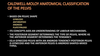 MATERNAL PELVIC DIAMETERS FINAL.pptx