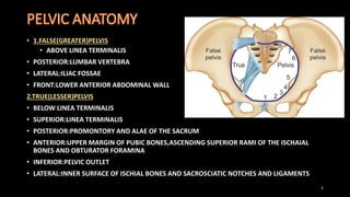 MATERNAL PELVIC DIAMETERS FINAL.pptx | Death, Injury, or Military ...