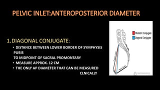MATERNAL PELVIC DIAMETERS FINAL.pptx