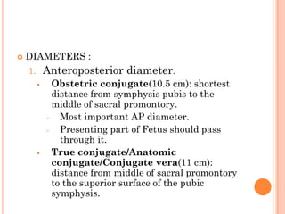maternalpelvis-160311112407.pdf