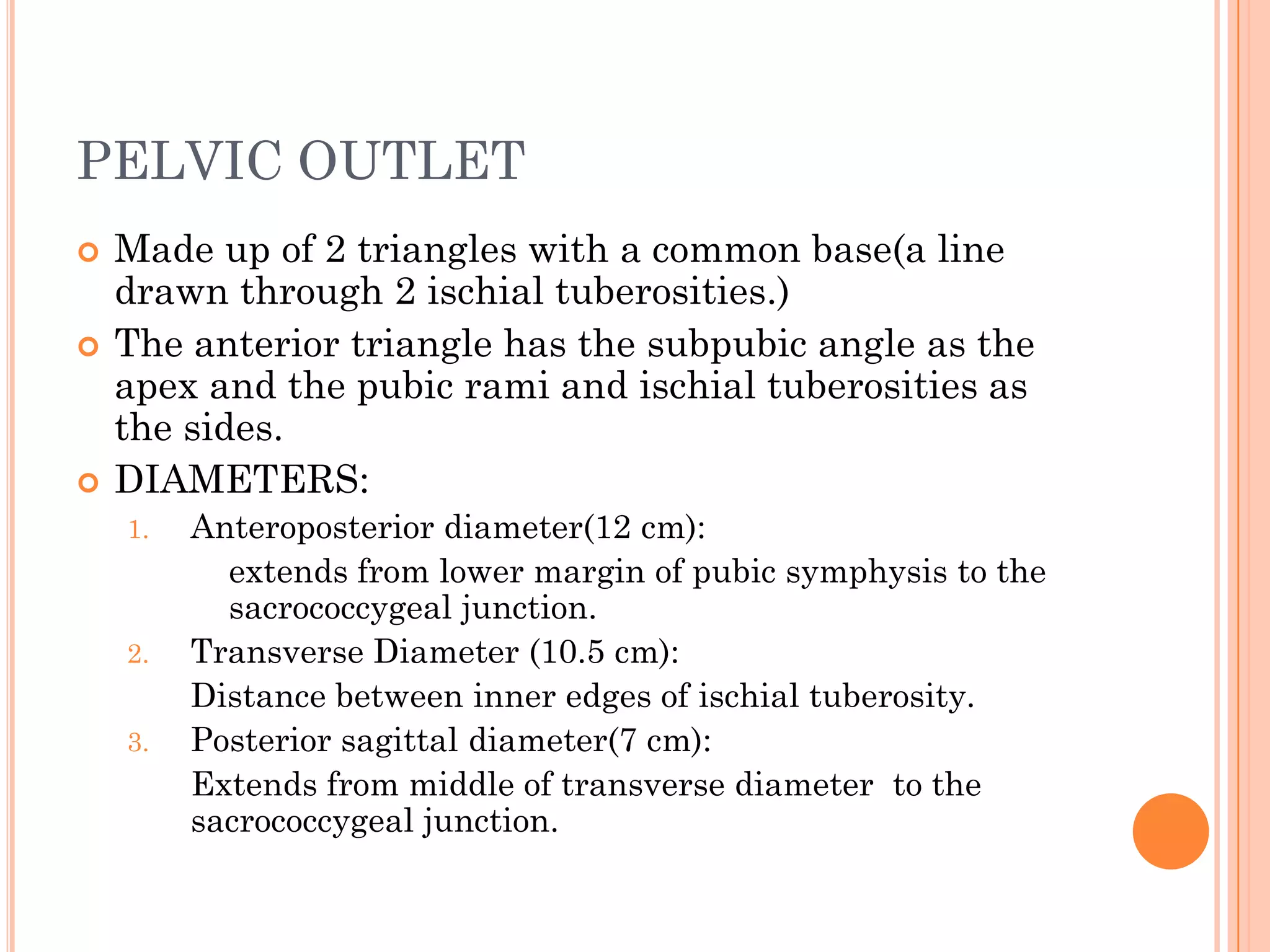 Maternal pelvis | PDF