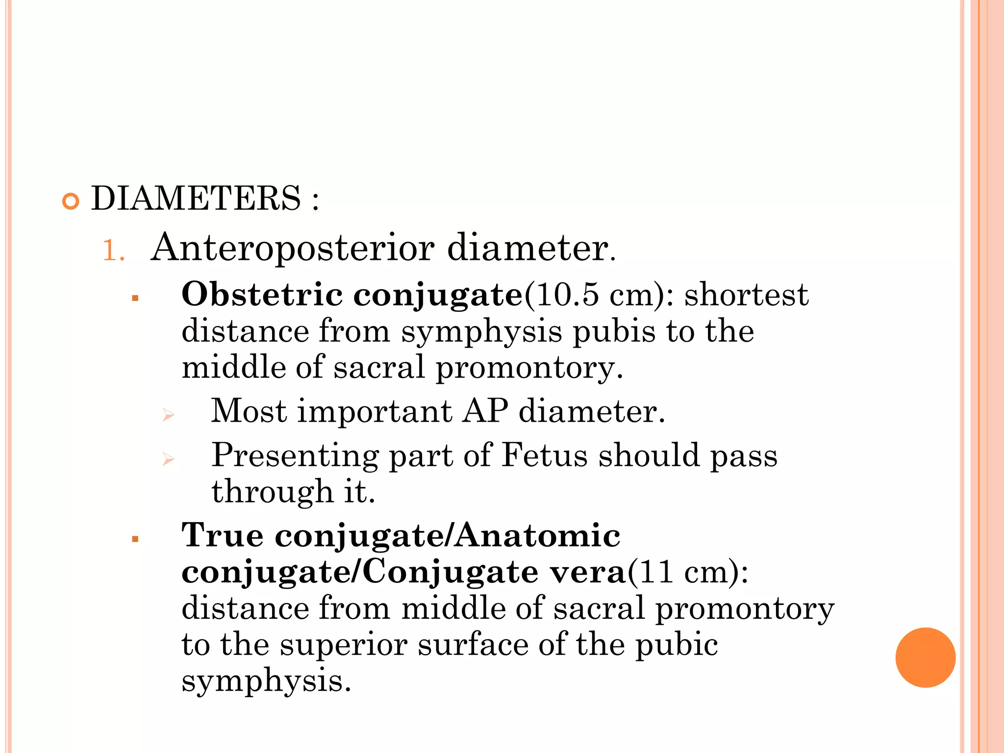 Maternal pelvis | PDF