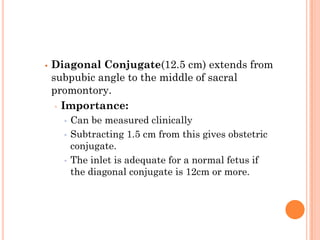 Obstetric Conjugate