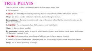 Maternal pelvis.pptx - kindly for only review | PPTX