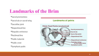 Maternal pelvis.pptx - kindly for only review | PPTX