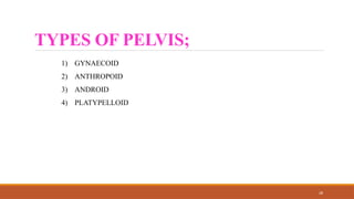 Maternal pelvis.pptx - kindly for only review | PPT