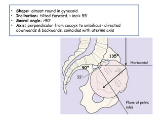 maternal pelvis and it's diameters in obstetrics | PPTX