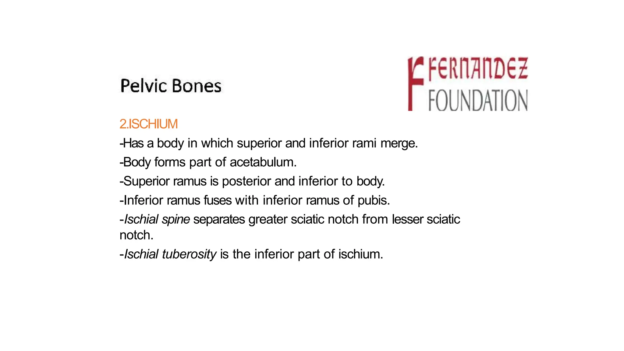 basics of maternal pelvis and general diameters | PPTX