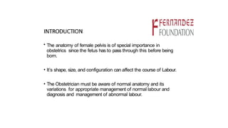 basics of maternal pelvis and general diameters | PPTX