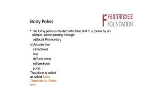 basics of maternal pelvis and general diameters | PPTX
