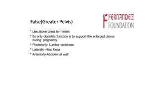 basics of maternal pelvis and general diameters | PPTX