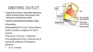Maternal pelvis & Fetal skull obsterics.pptx