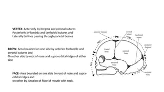 Maternal pelvis & Fetal skull obsterics.pptx
