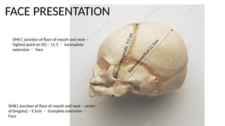 Maternal pelvis & Fetal skull obsterics.pptx