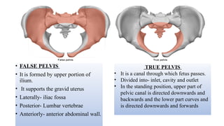Maternal pelvis & Fetal skull obsterics.pptx