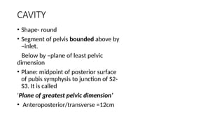 Maternal pelvis & Fetal skull obsterics.pptx