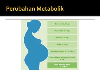 Maternal physiology | PPTX | Pregnancy | Reproductive Health
