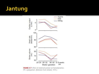 Maternal physiology | PPTX