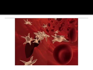 Maternal physiology | PPTX