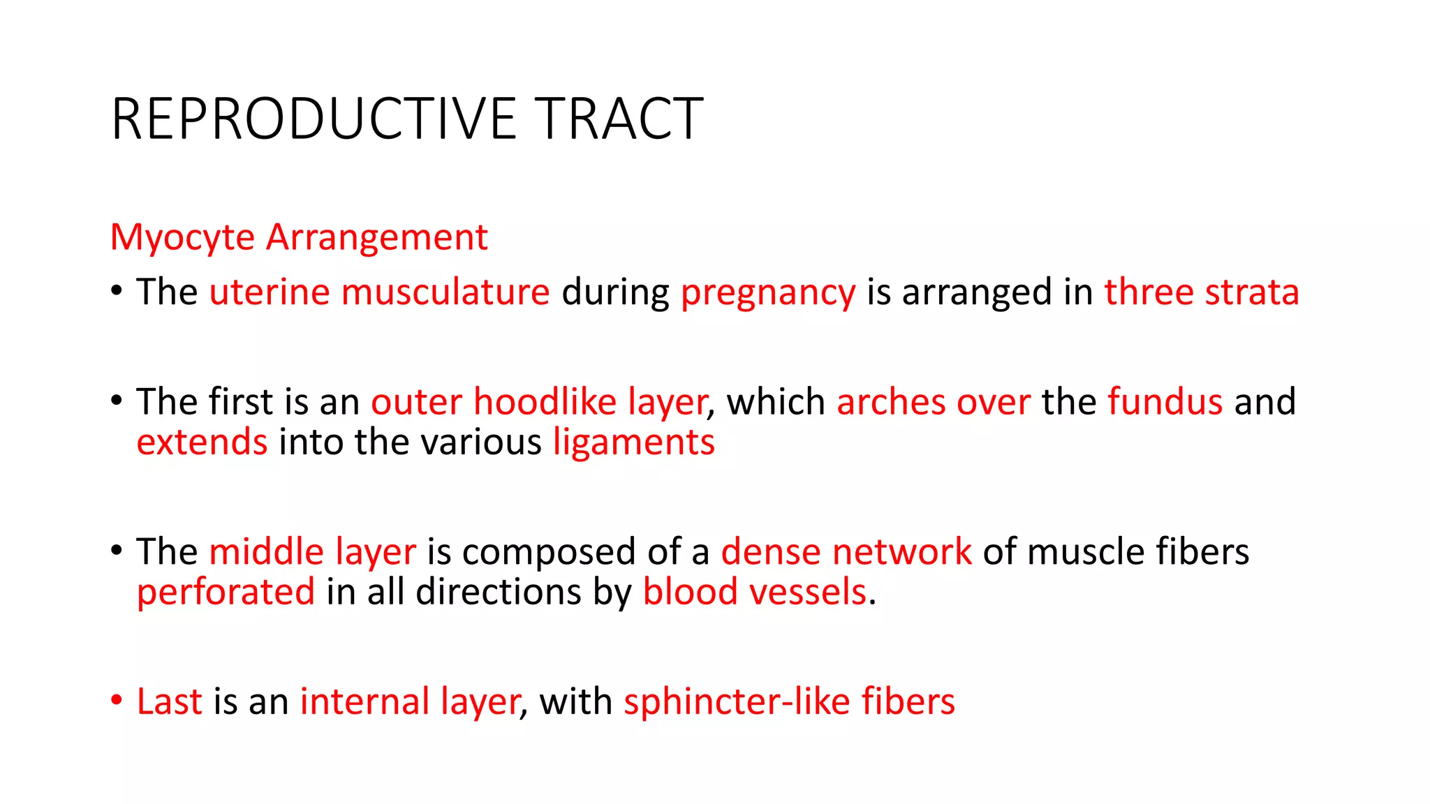Maternal physiology | PPTX