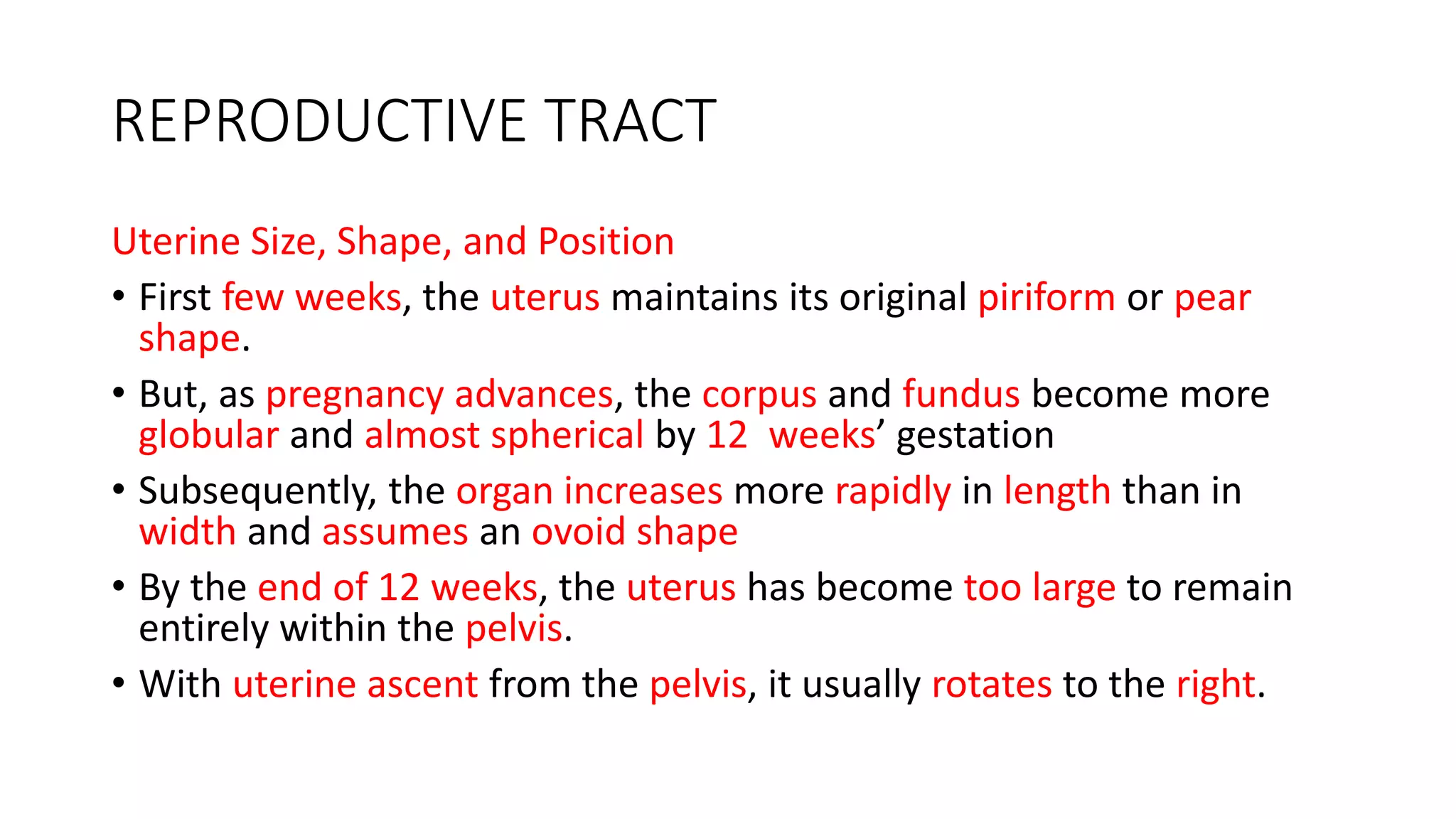 Maternal physiology | PPTX